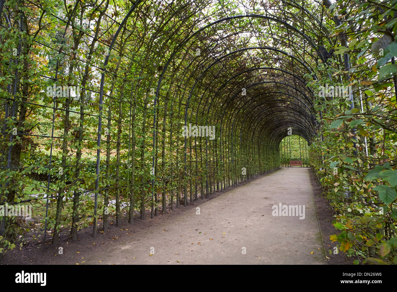 Alnwick Garden, Northumberland, England, UK Stock Photo - Alamy