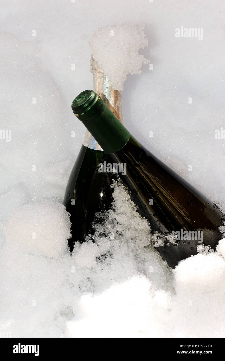 Champagne and wine in ice Stock Photo - Alamy