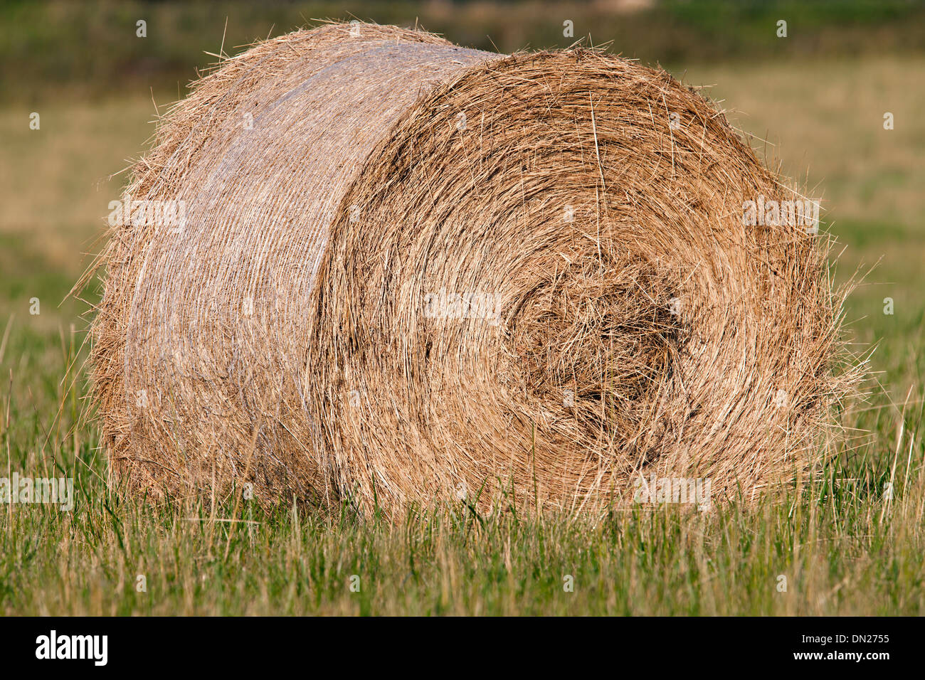 Rolled dried grass hi-res stock photography and images - Alamy