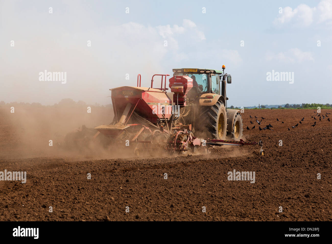 Dusty soil flies from the wheels and equipment as a tractor drills seed ...