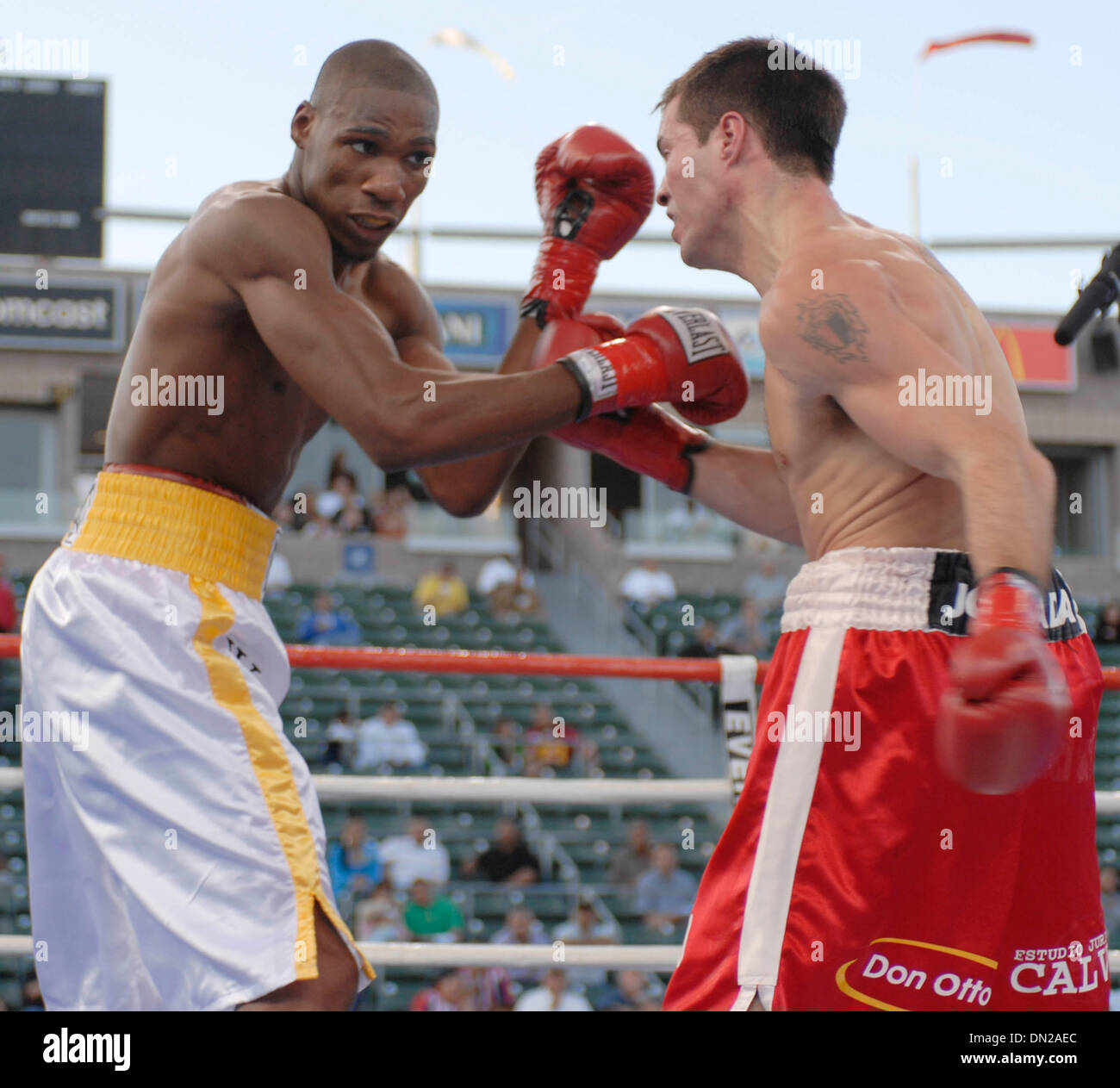 Mattheyese hi-res stock photography and images - Alamy