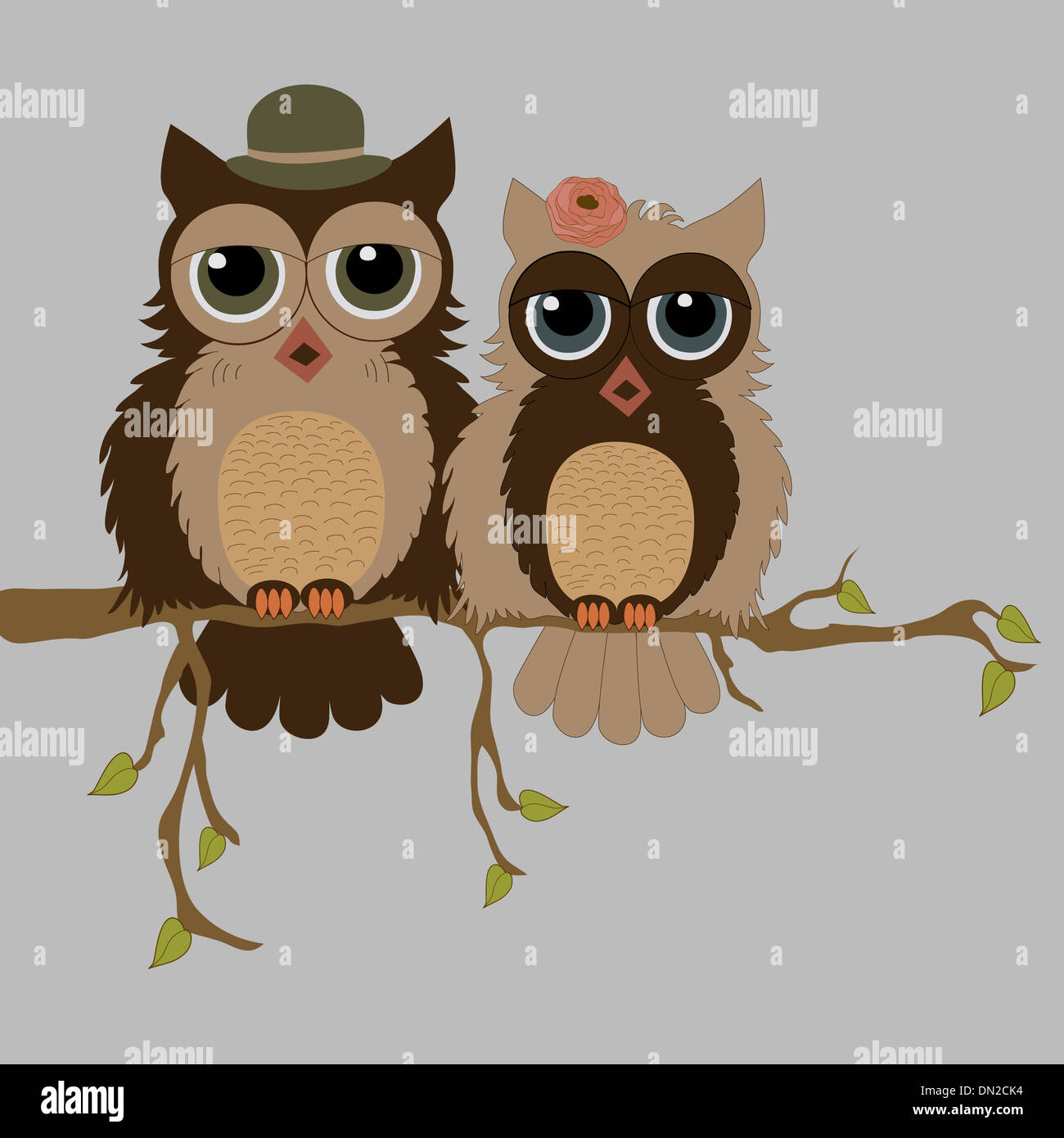 Pair of owls on branch Stock Photo - Alamy
