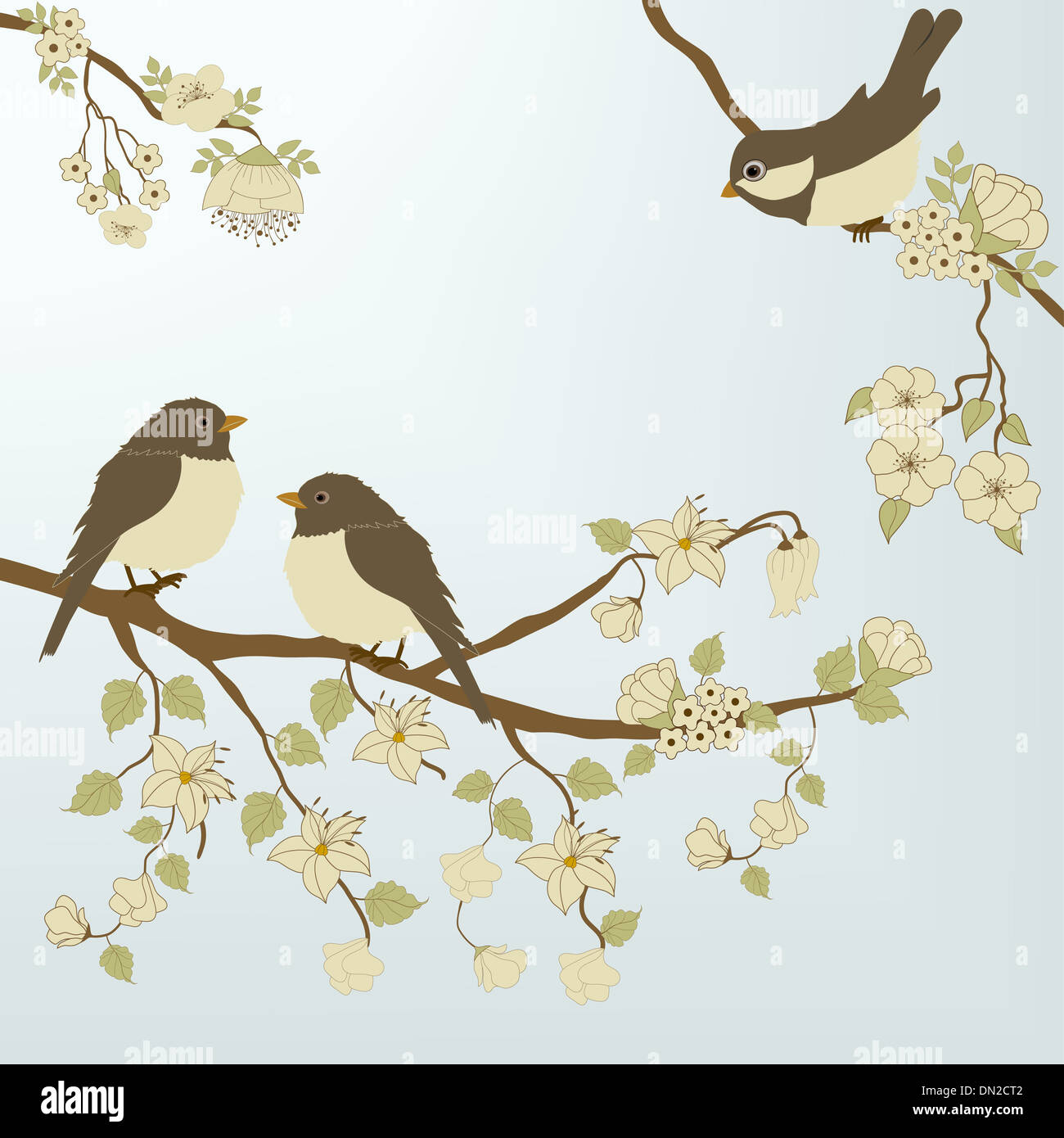 Birds on spring branch Stock Photo - Alamy