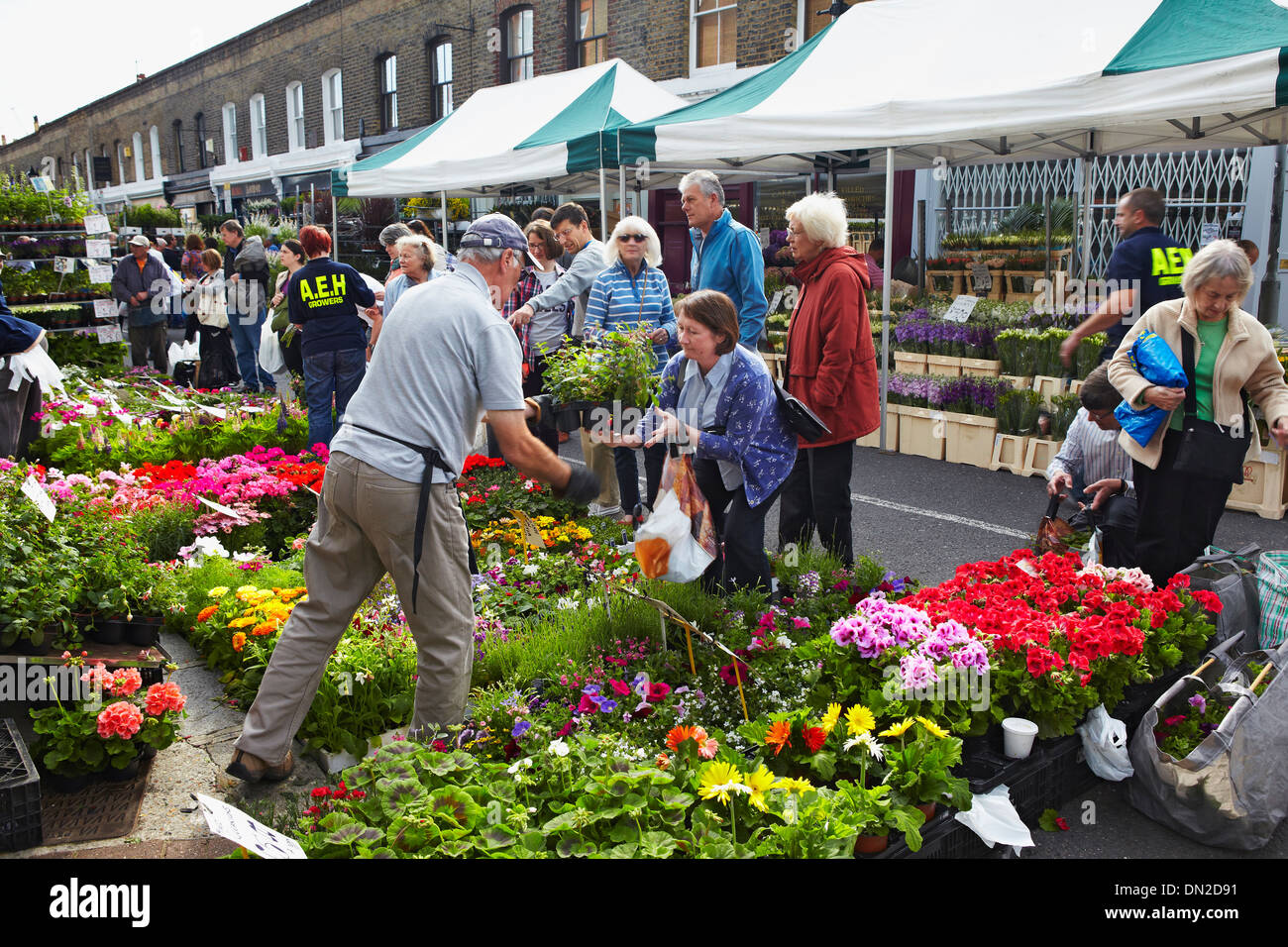 Selling Flowers Stock Photos & Selling Flowers Stock Images - Alamy