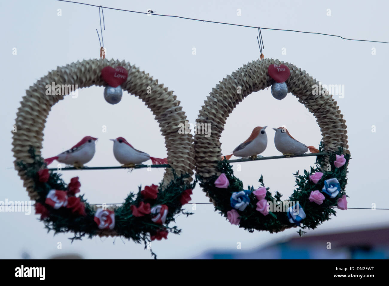 Birds with flower hi-res stock photography and images - Alamy