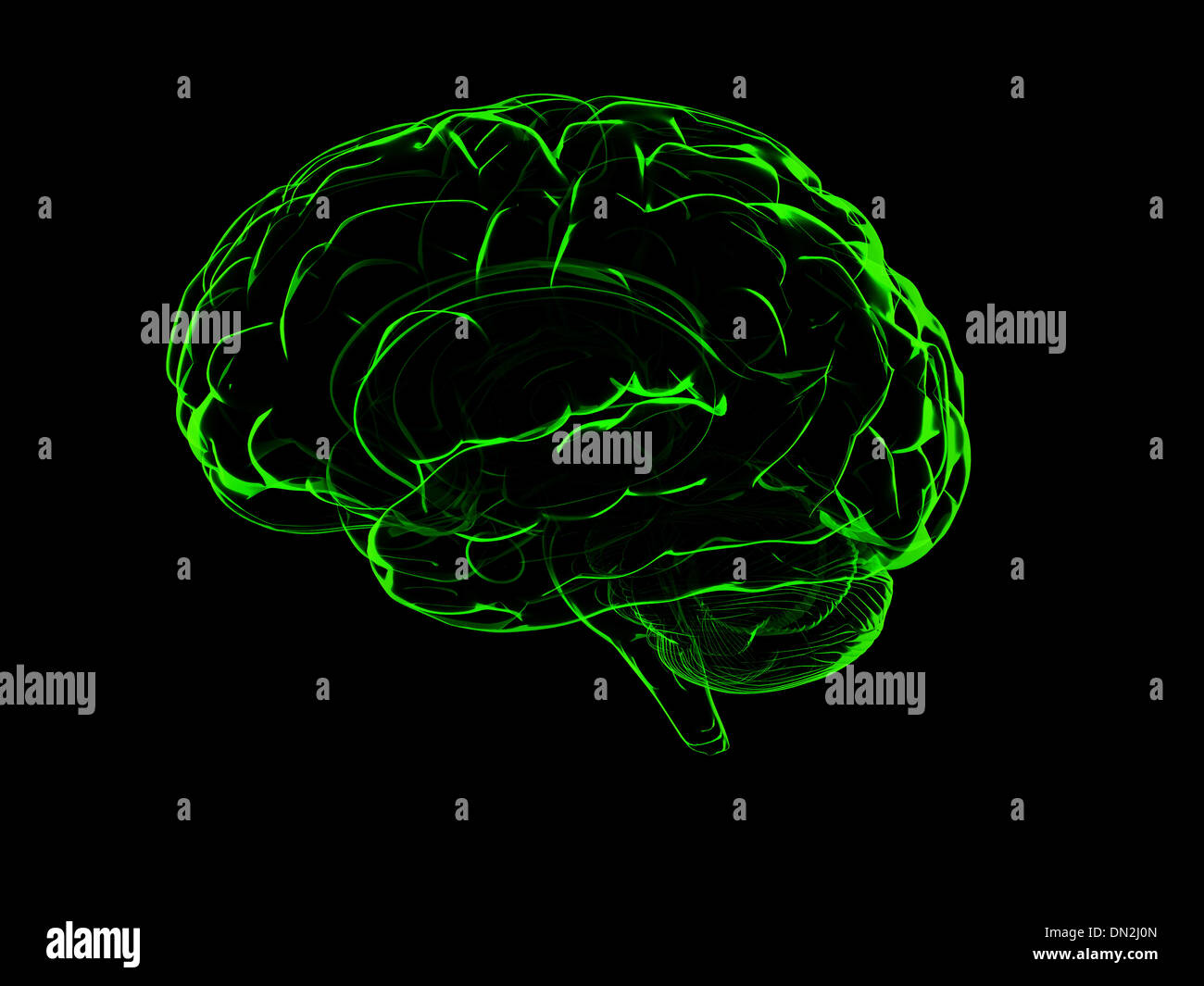 High resolution image. 3d rendered illustration. 3d human brain Stock ...