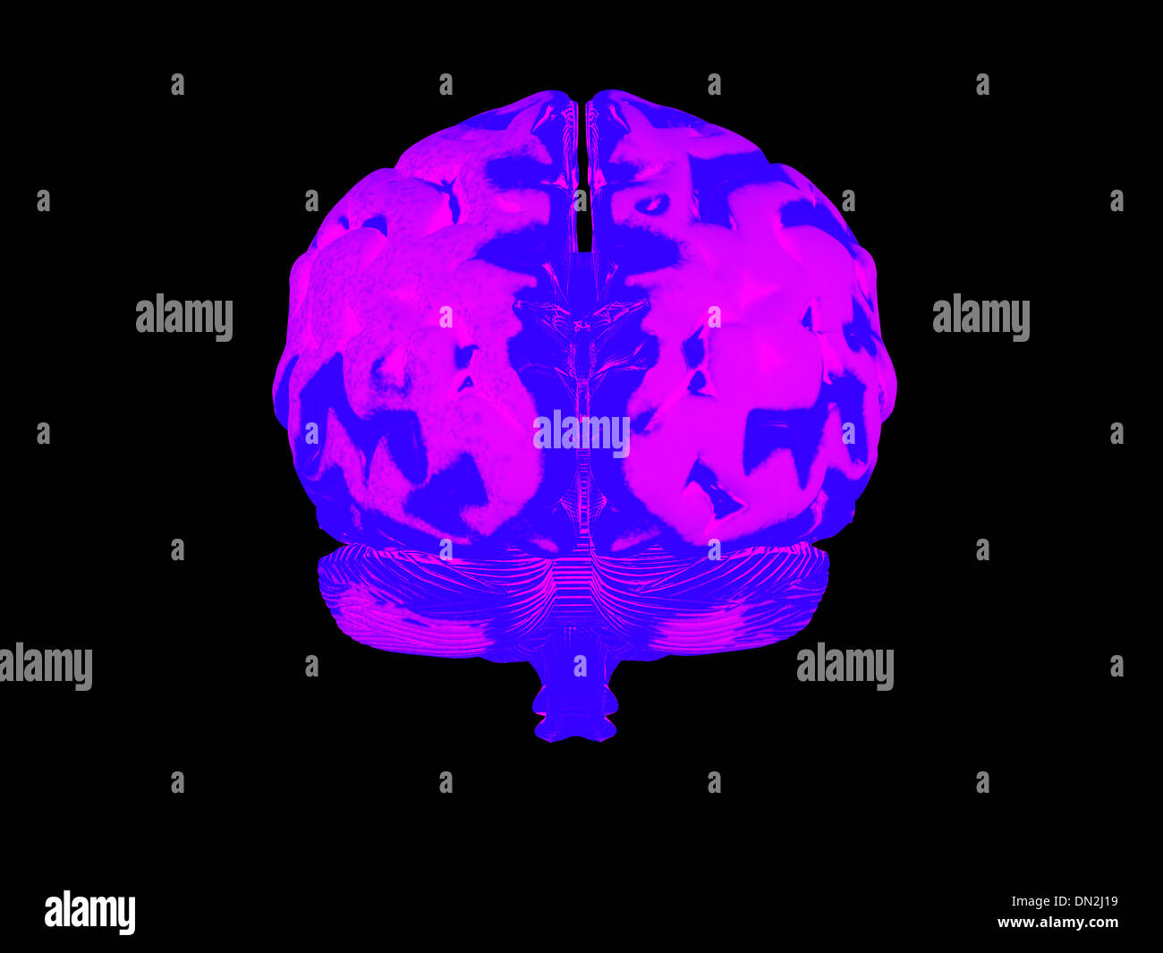 High resolution image. 3d rendered illustration. 3d human brain Stock ...