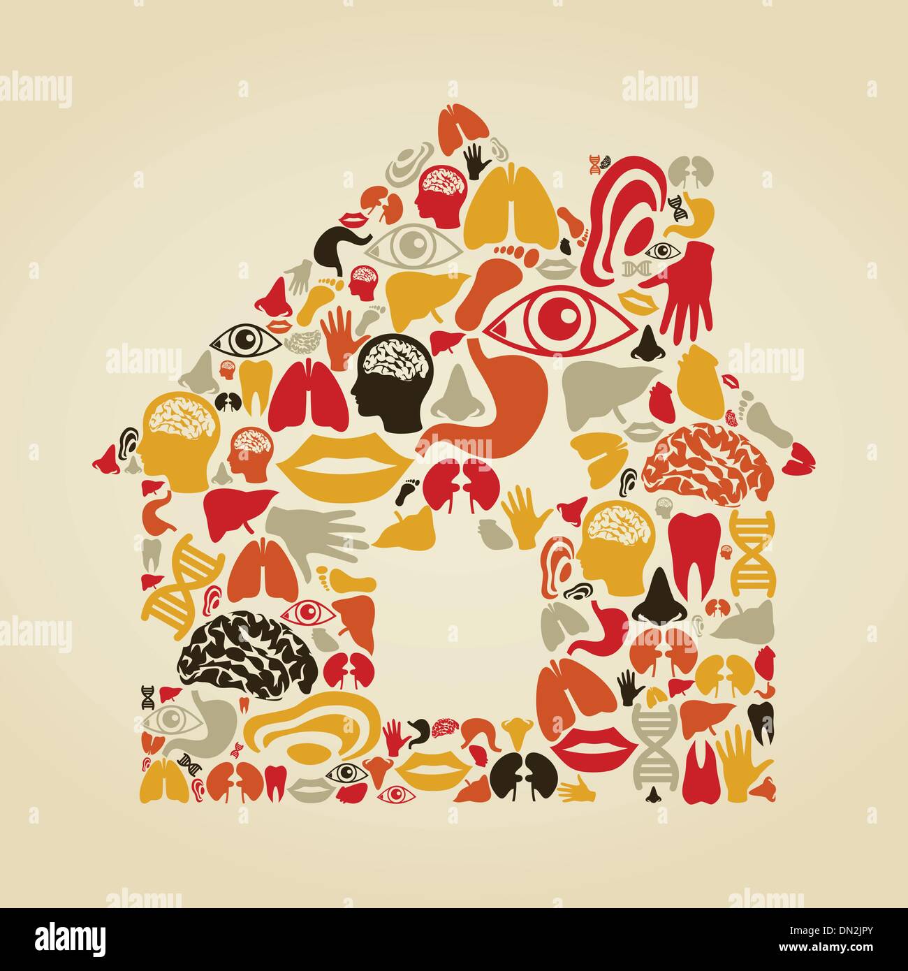 Anatomy of body hi-res stock photography and images - Alamy