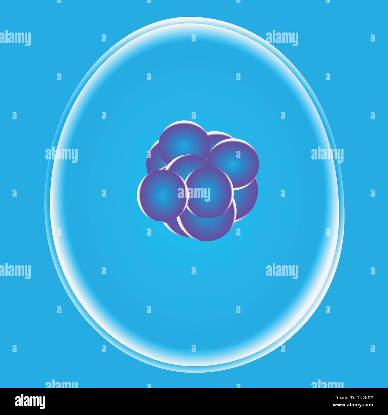 Stem cells Stock Vector Images - Alamy Stem cells Stock Vector Images - Alamy
