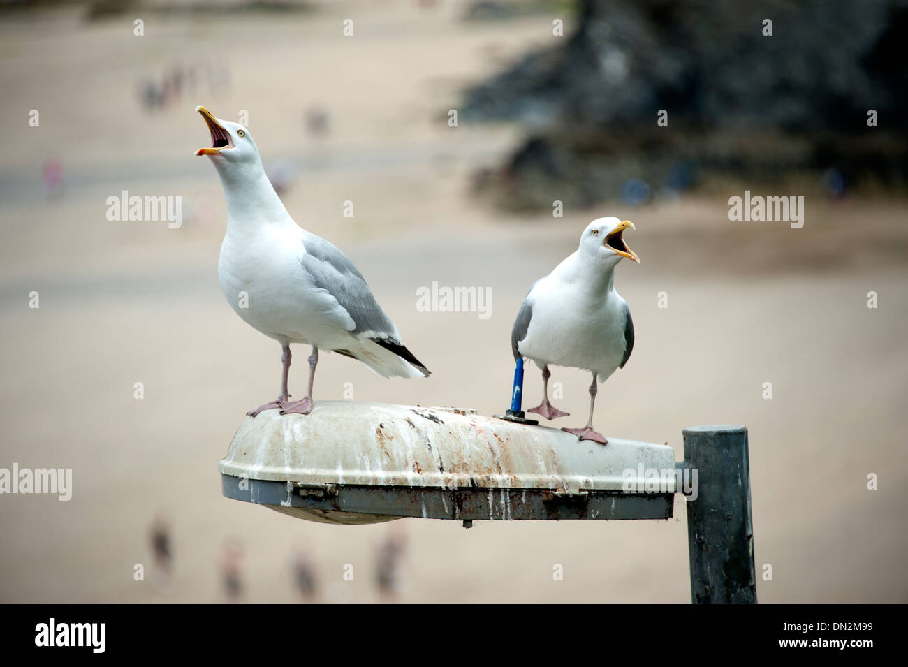 The mess hi-res stock photography and images - Alamy