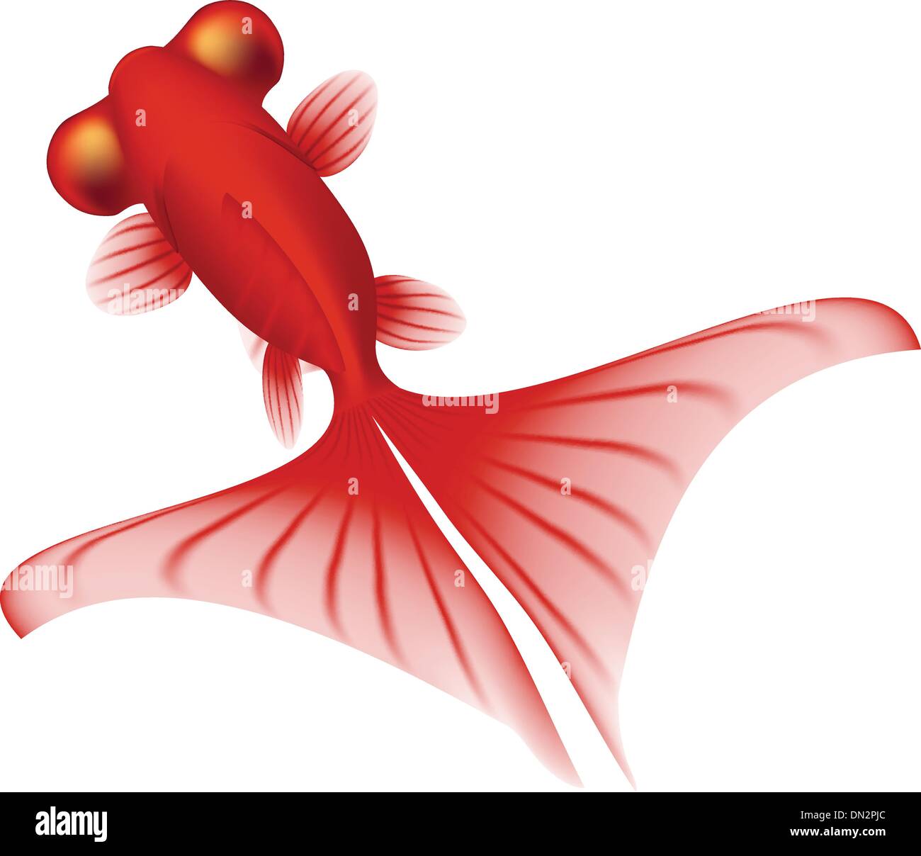 Fish swim top view Stock Vector Images - Alamy