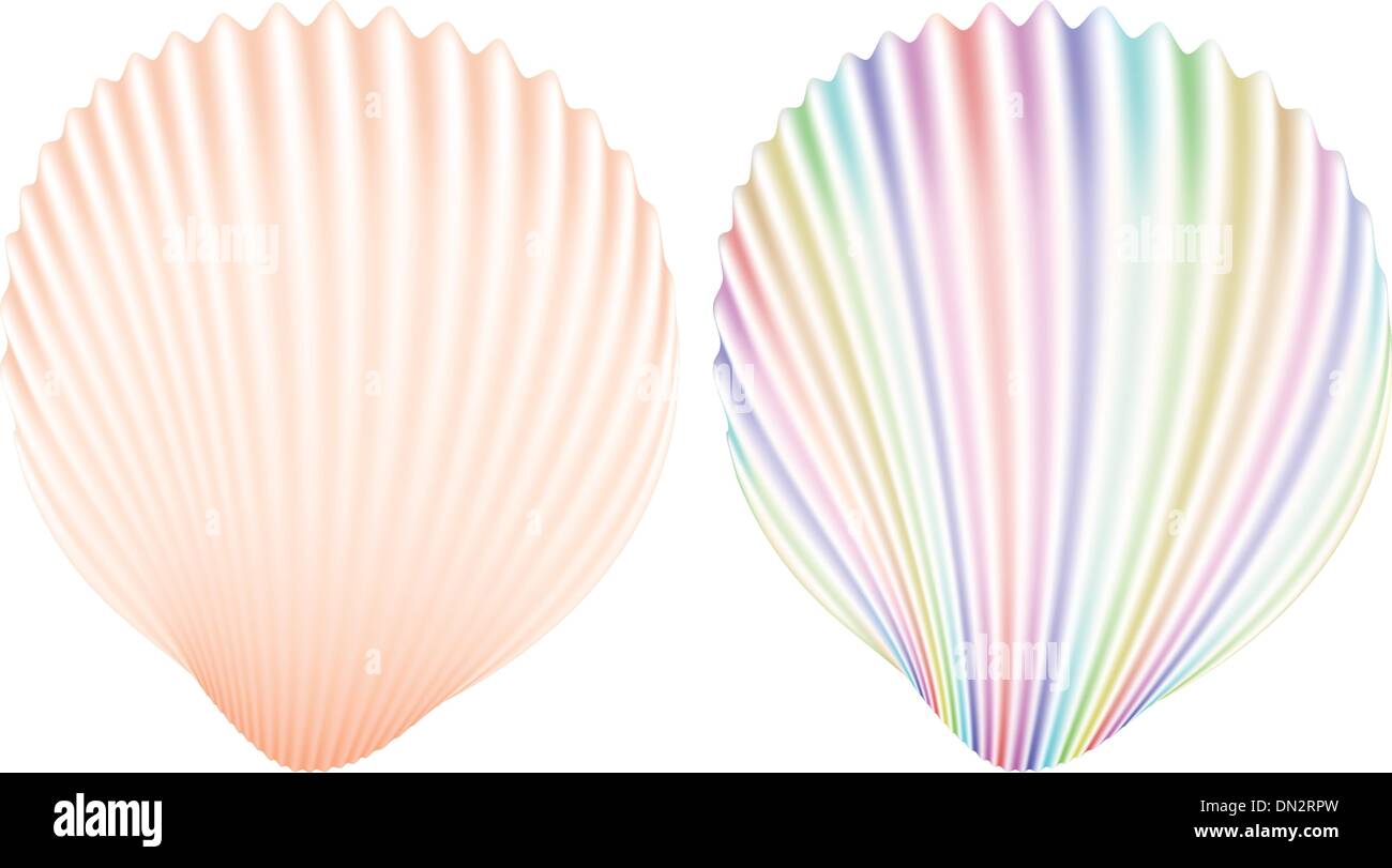 Layered shell hi-res stock photography and images - Alamy