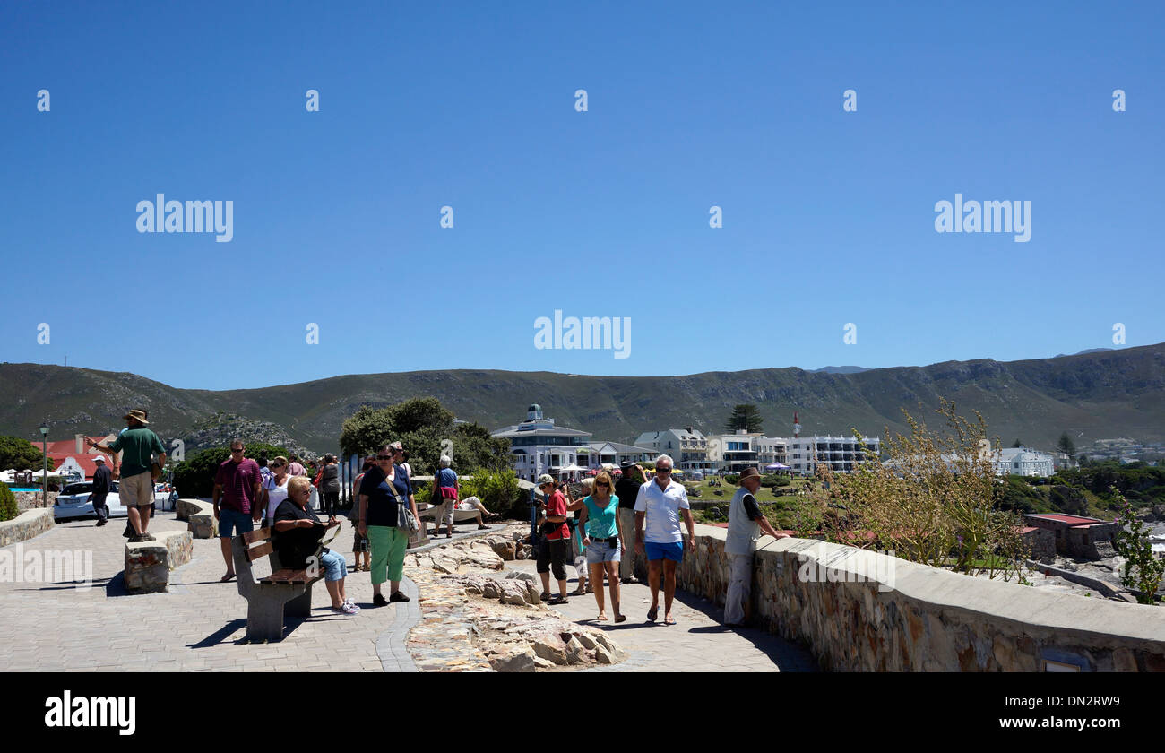 Tour group taking in the view of the Old Harbour in Hermanus on the ...