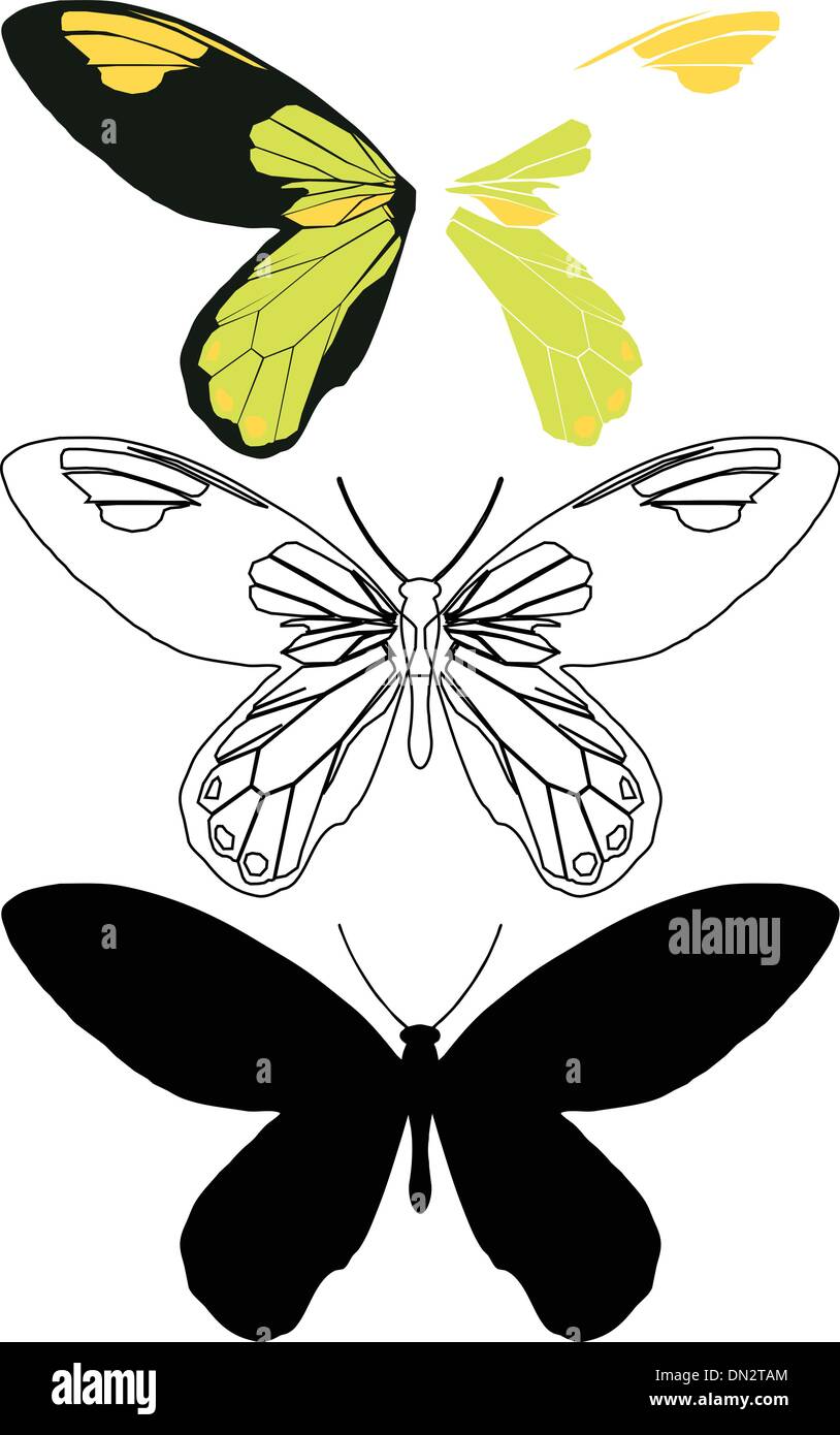 Skeleton butterfly Stock Vector Images - Alamy