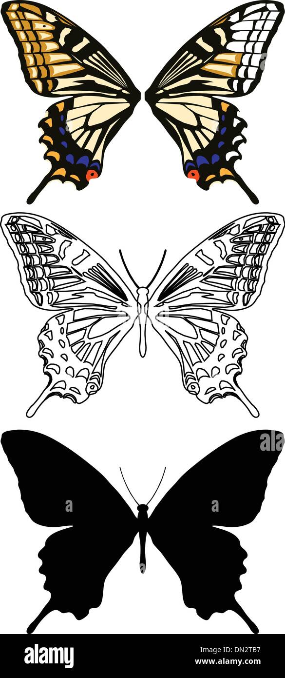 Butterfly wing detail pattern texture Stock Vector Images - Alamy