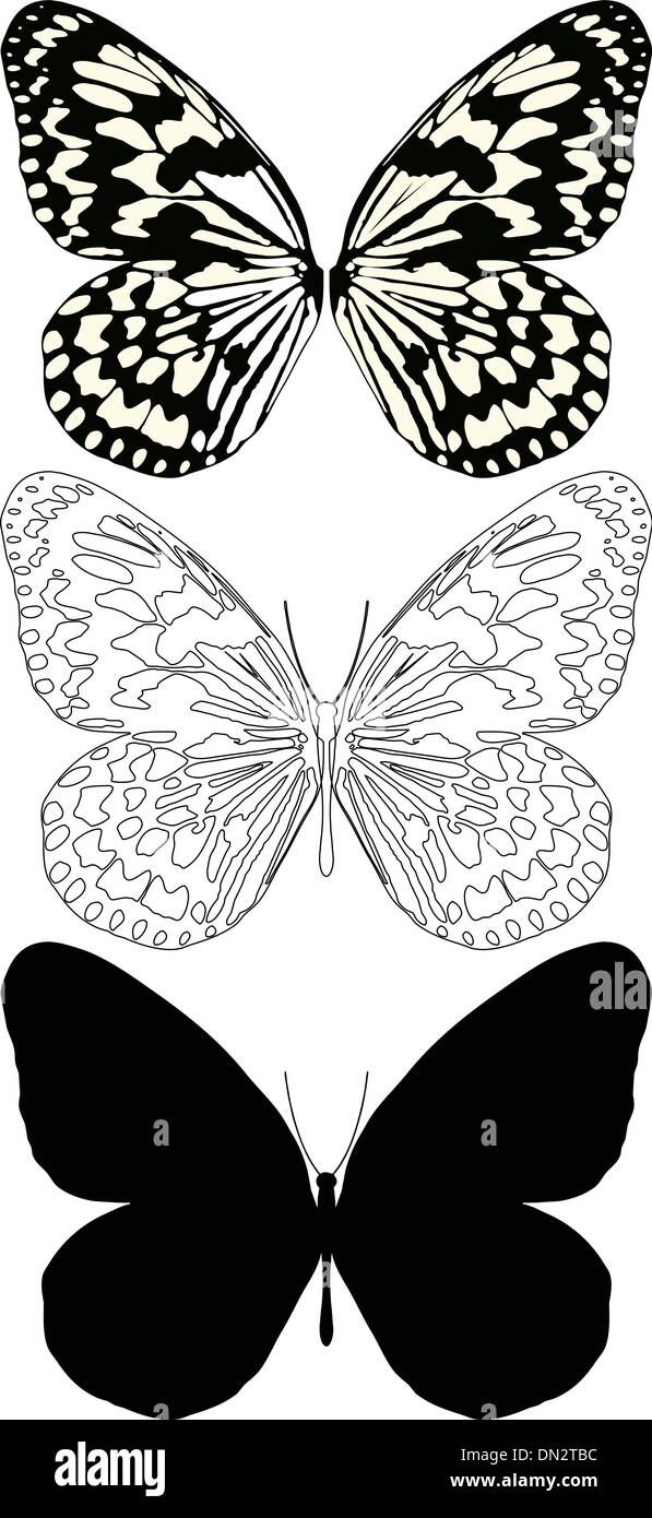 Skeleton butterfly Stock Vector Images - Alamy