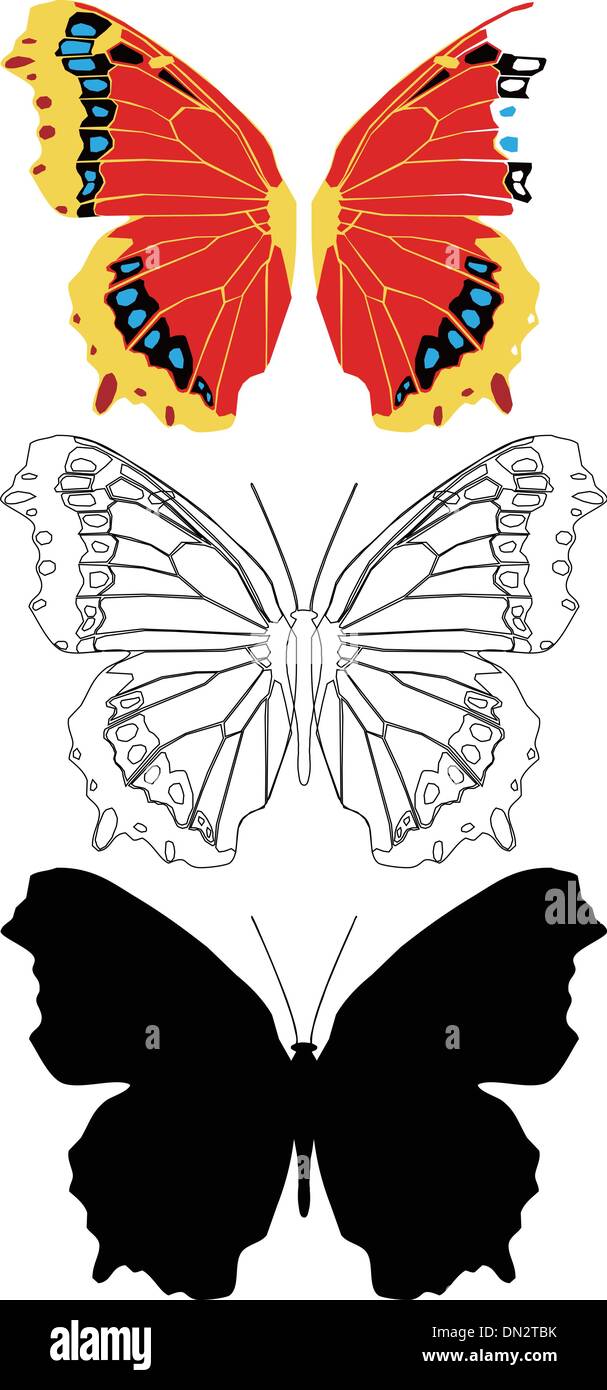 Skeleton butterfly Stock Vector Images - Alamy