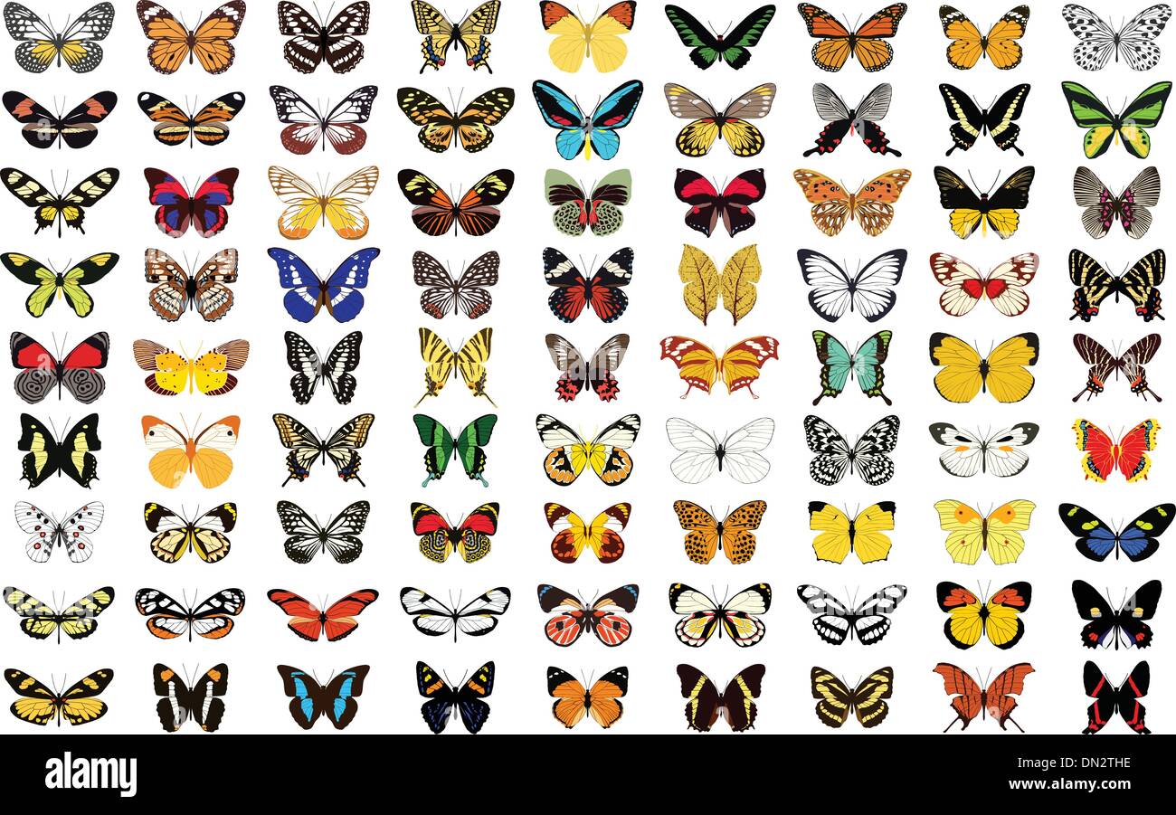 Butterfly silhouette Stock Vector Images - Alamy