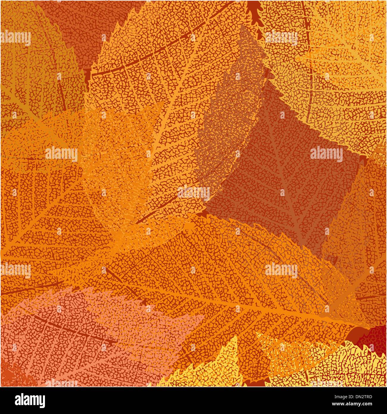 Dry autumn leaves closeup Stock Vector Images - Alamy