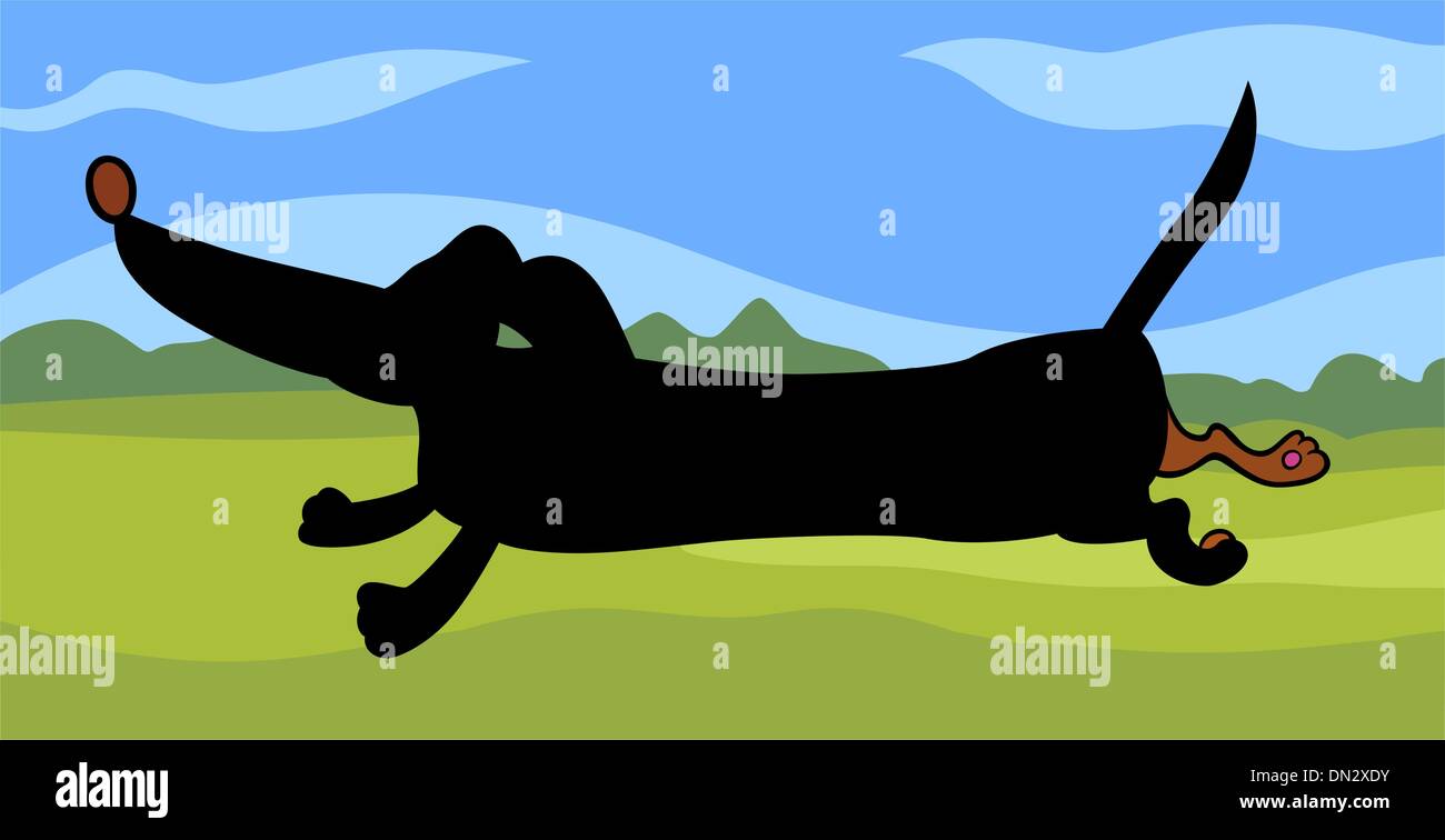 running dachshund dog cartoon illustration Stock Vector Image & Art - Alamy