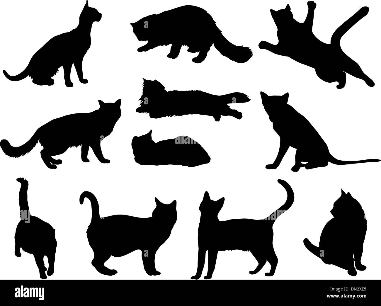 White cat outline drawing hi-res stock photography and images - Alamy