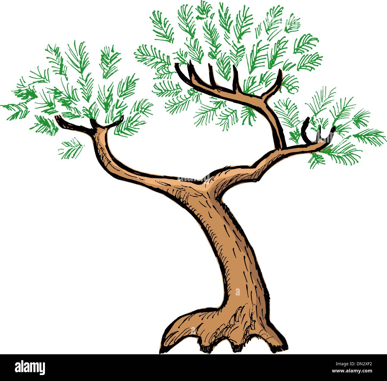 Pine vegetation Stock Vector Images - Alamy