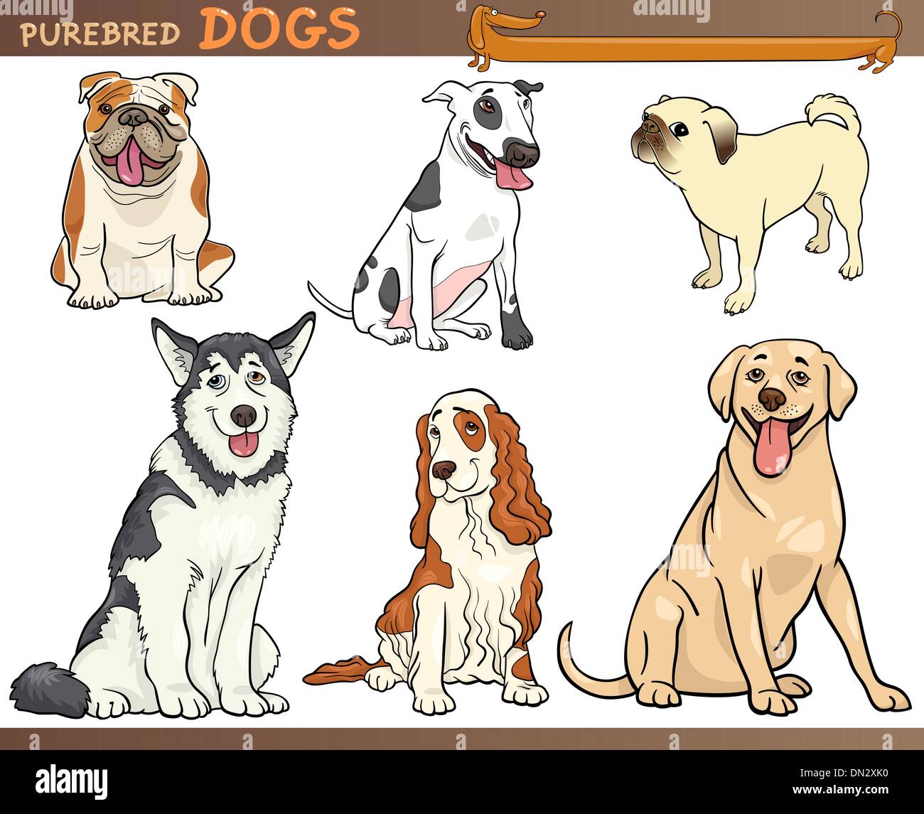 purebred dogs cartoon illustration set Stock Vector Image & Art - Alamy