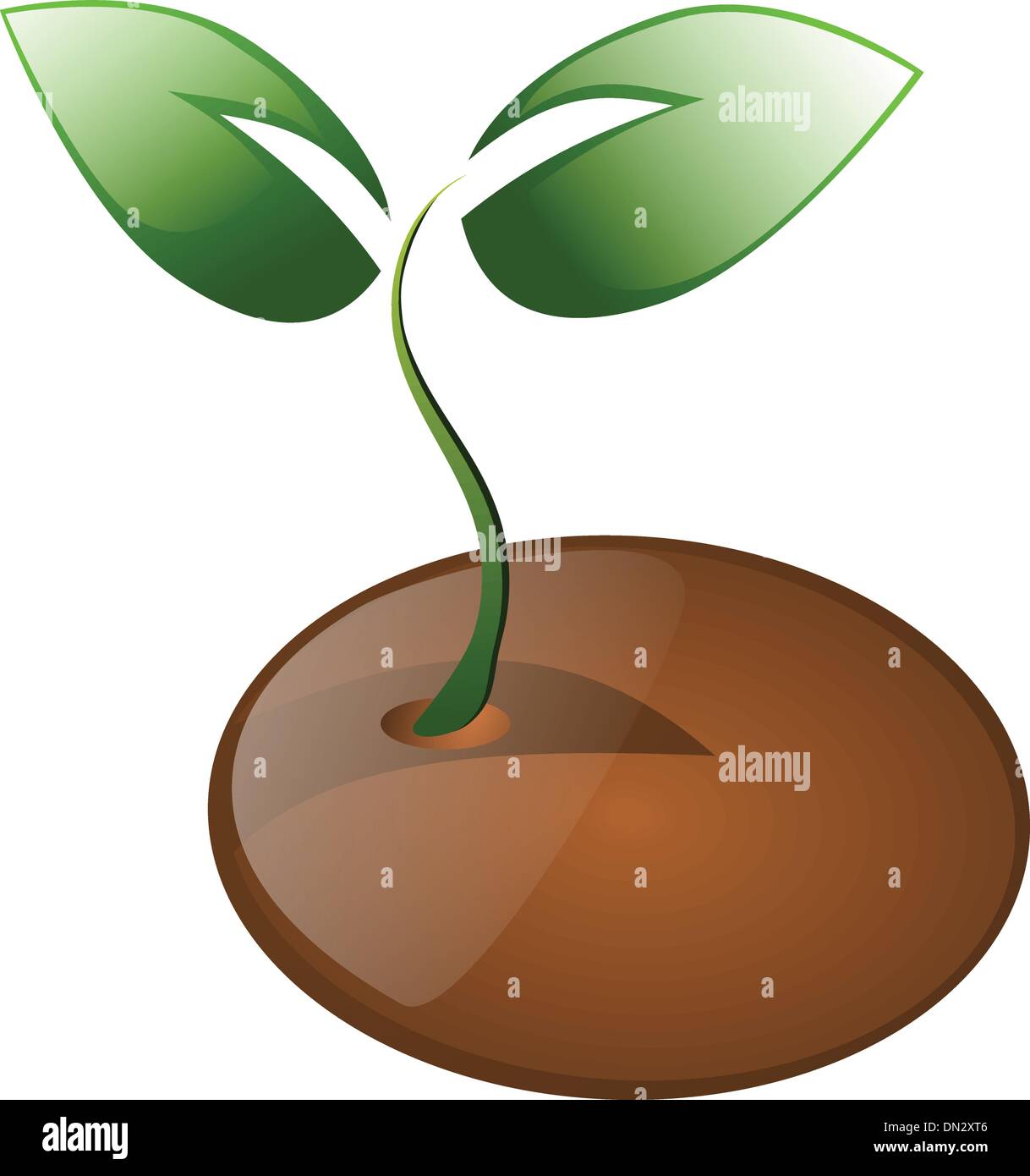 Little plant and seed isolated Stock Vector Image & Art - Alamy