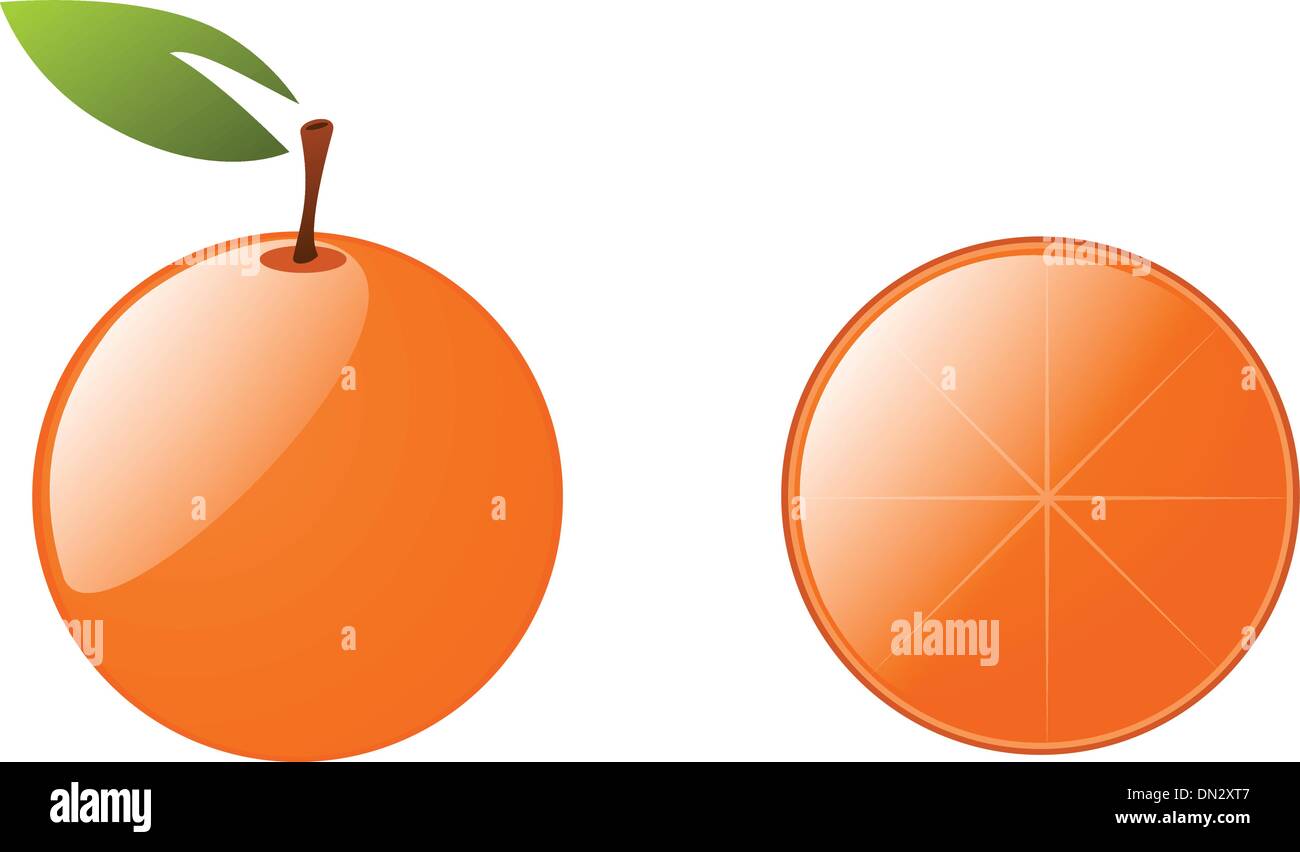 orange vector isolated Stock Vector Image & Art - Alamy