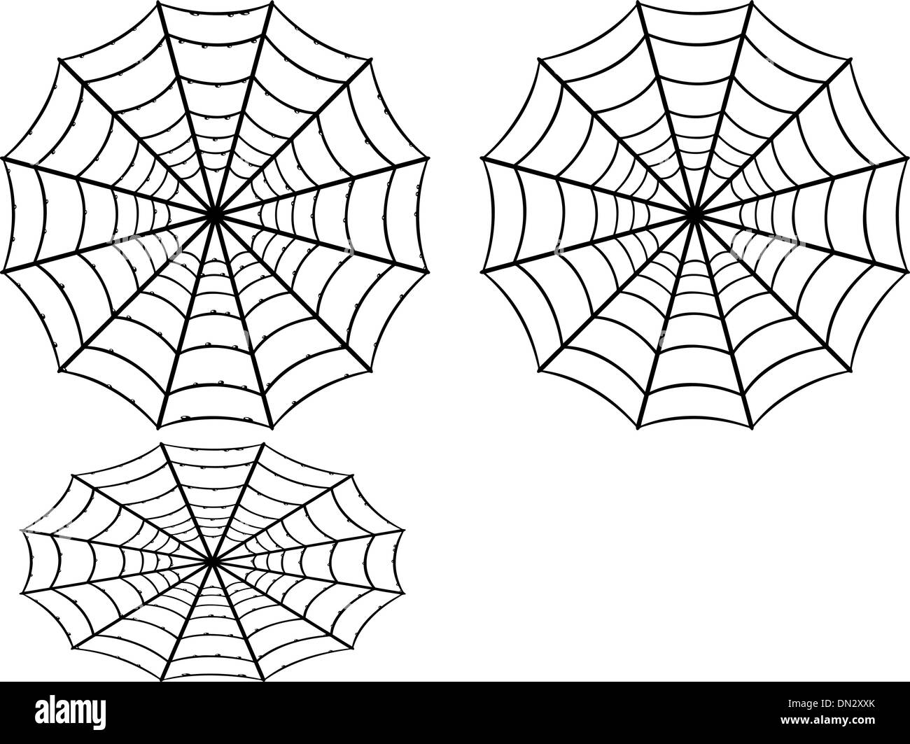 Vector spider web Stock Vector Image & Art - Alamy