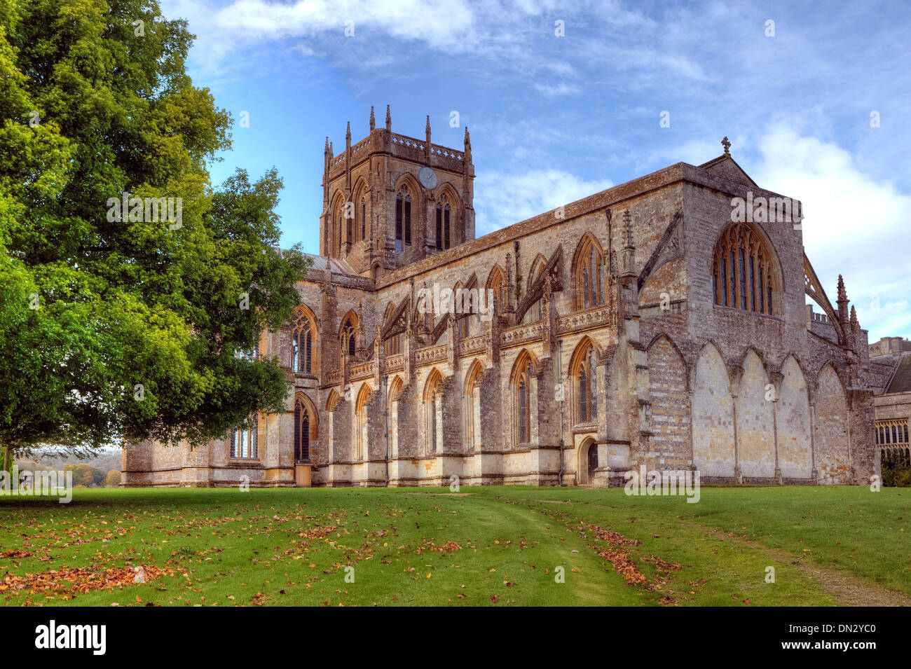 Milton Abbey, Dorset, England, United Kingdom Stock Photo - Alamy
