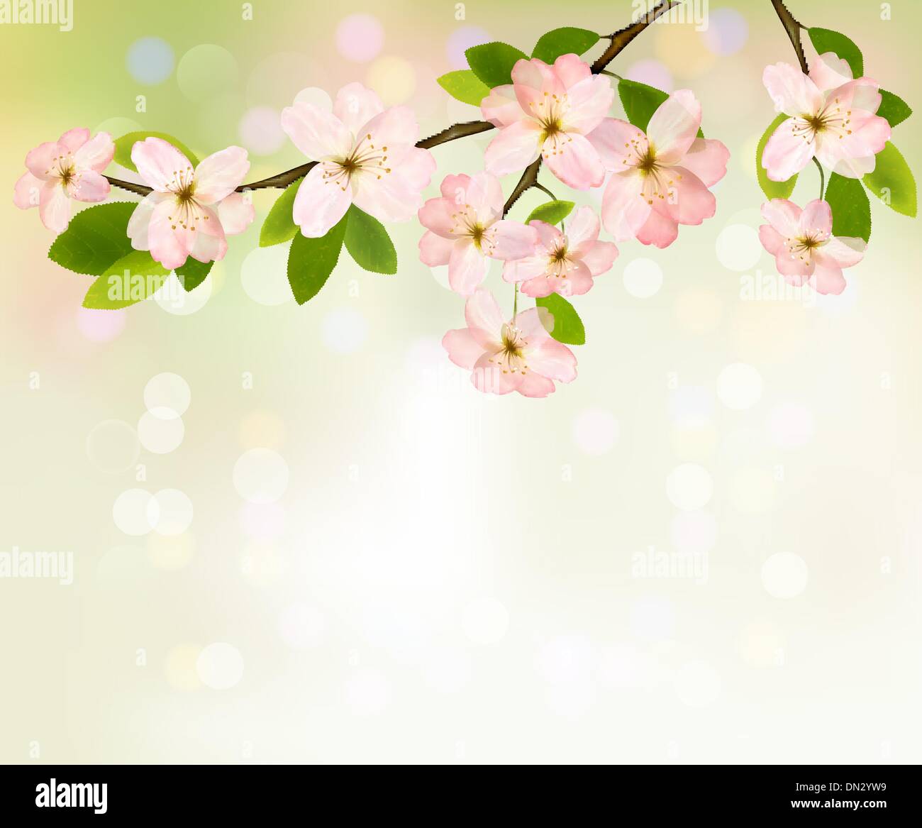 Spring background with blossoming tree brunch with spring flower Stock ...