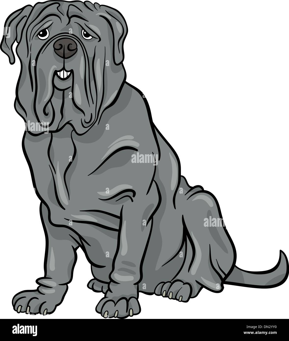 neapolitan mastiff dog cartoon illustration Stock Vector Image & Art ...