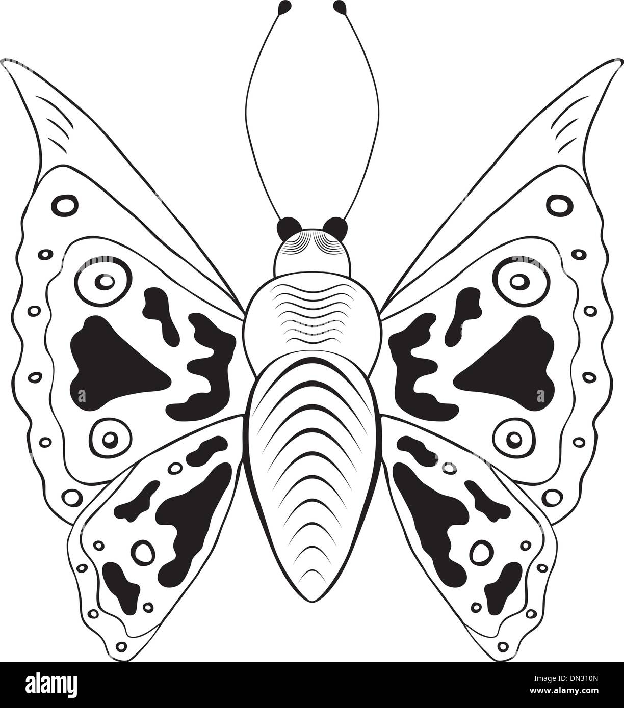 Butterfly line drawing isolated Stock Vector Images - Alamy
