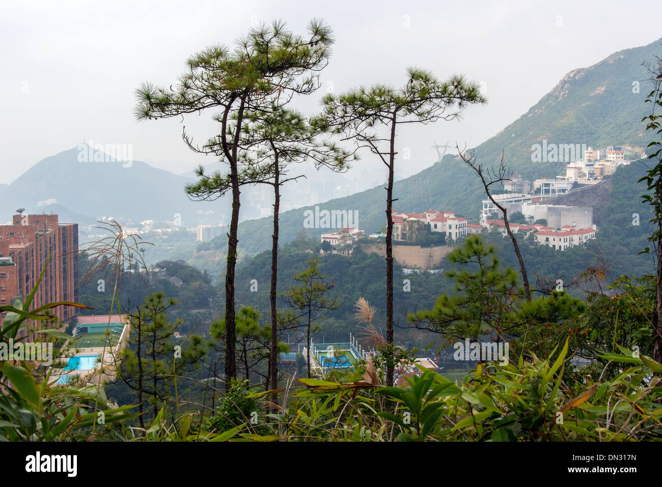 Hong Kong View to Mount Nicholson Stock Photo - Alamy
