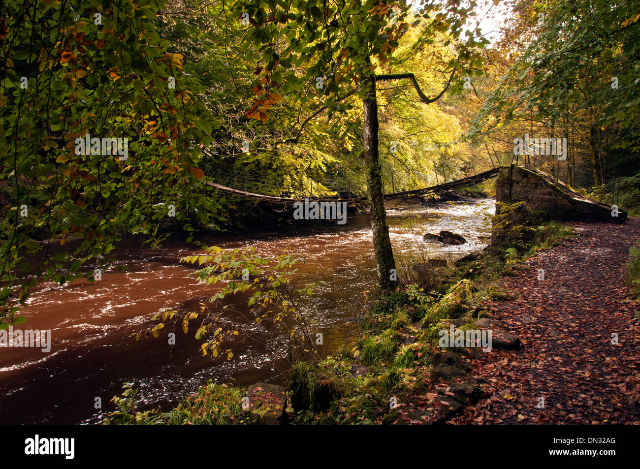 A footbridge over the River Allen in Northumberland Stock Photo - Alamy