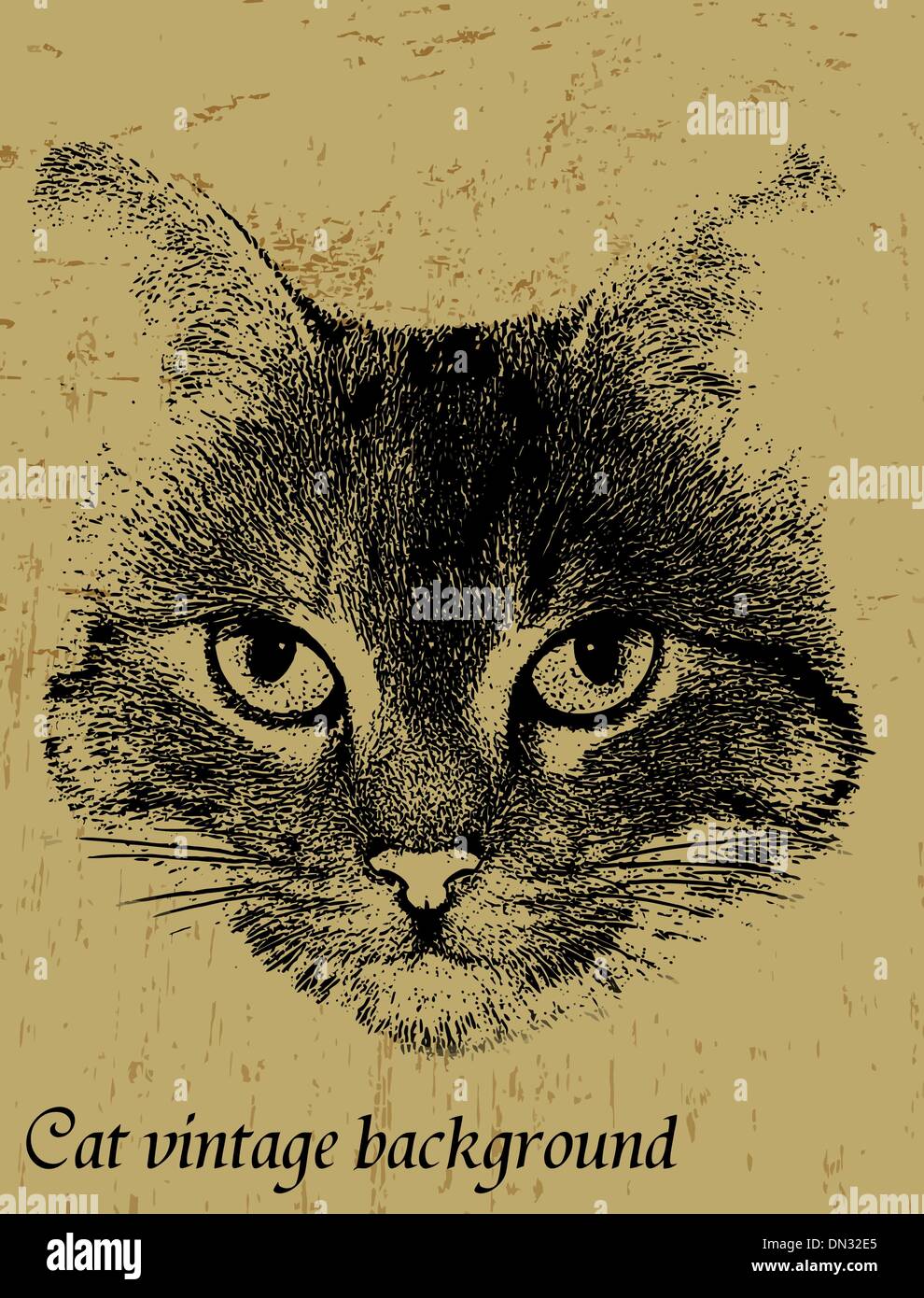 Vintage background with cat theme Stock Vector Image & Art - Alamy