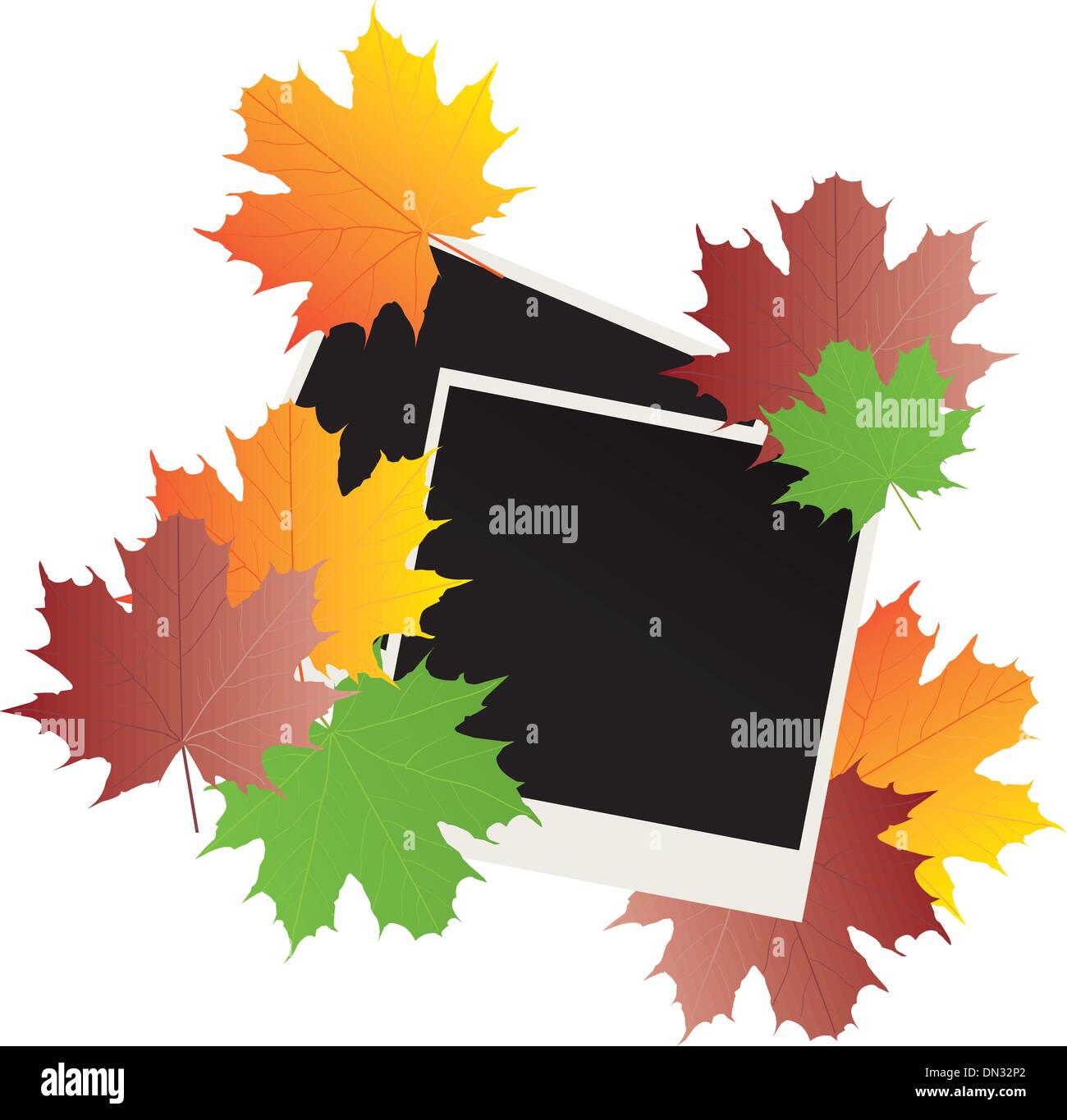 Green square holiday photo Stock Vector Images - Alamy