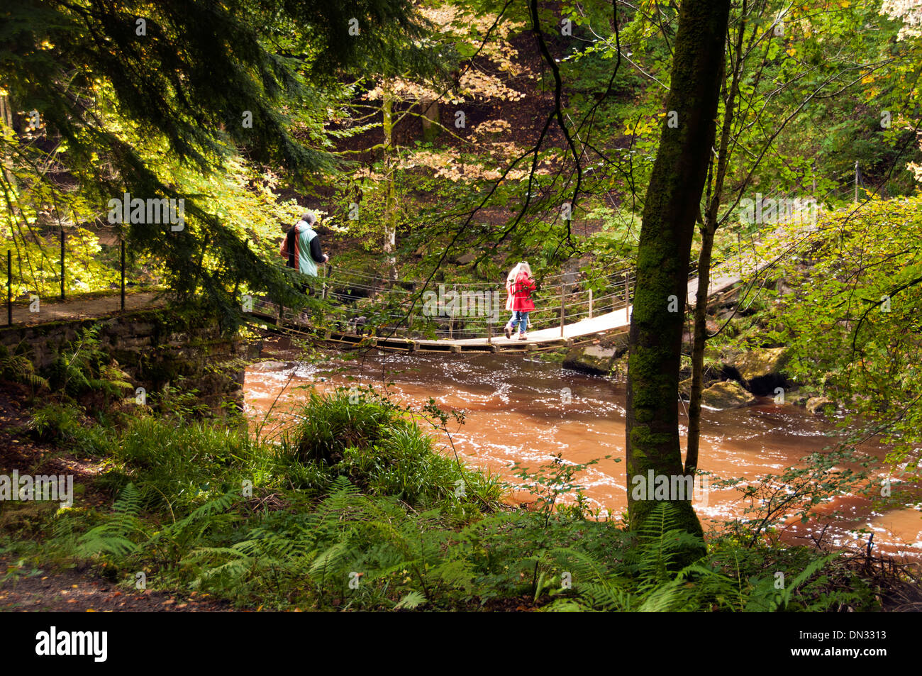 River allendale hi-res stock photography and images - Alamy