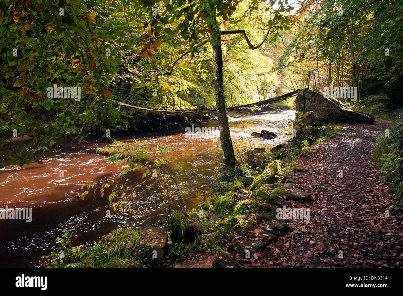 River allendale hi-res stock photography and images - Alamy