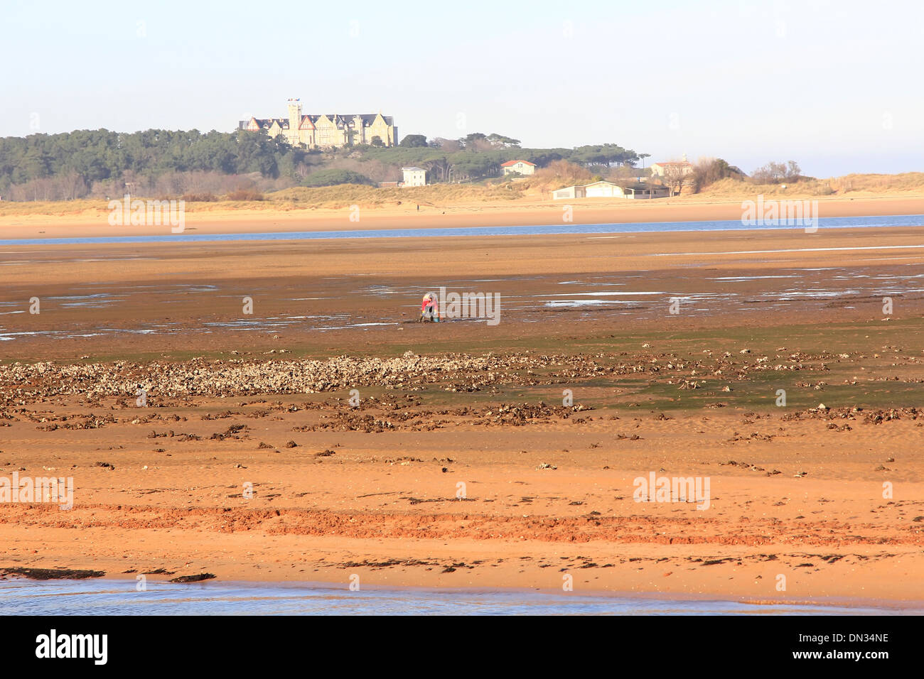 small sandy beach in North Sea Stock Photo - Alamy