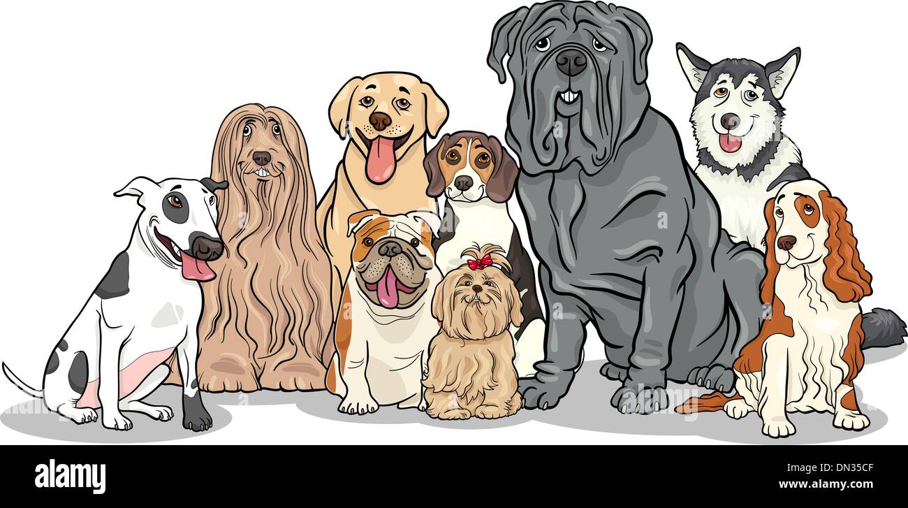 purebred dogs group cartoon illustration Stock Vector Image & Art - Alamy