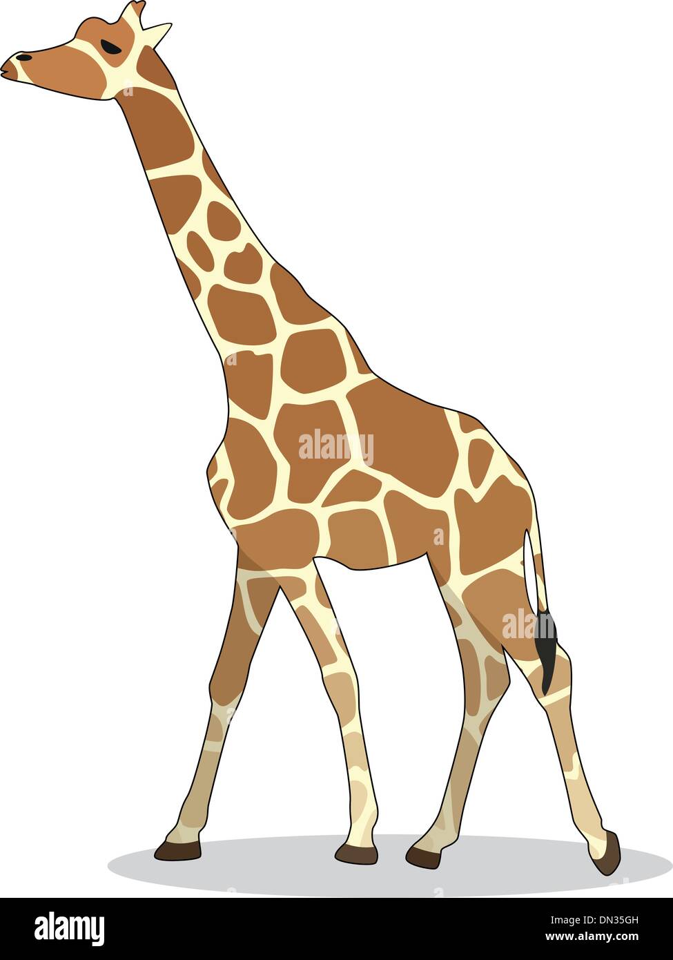 Giraffe vector vectors hi-res stock photography and images - Alamy