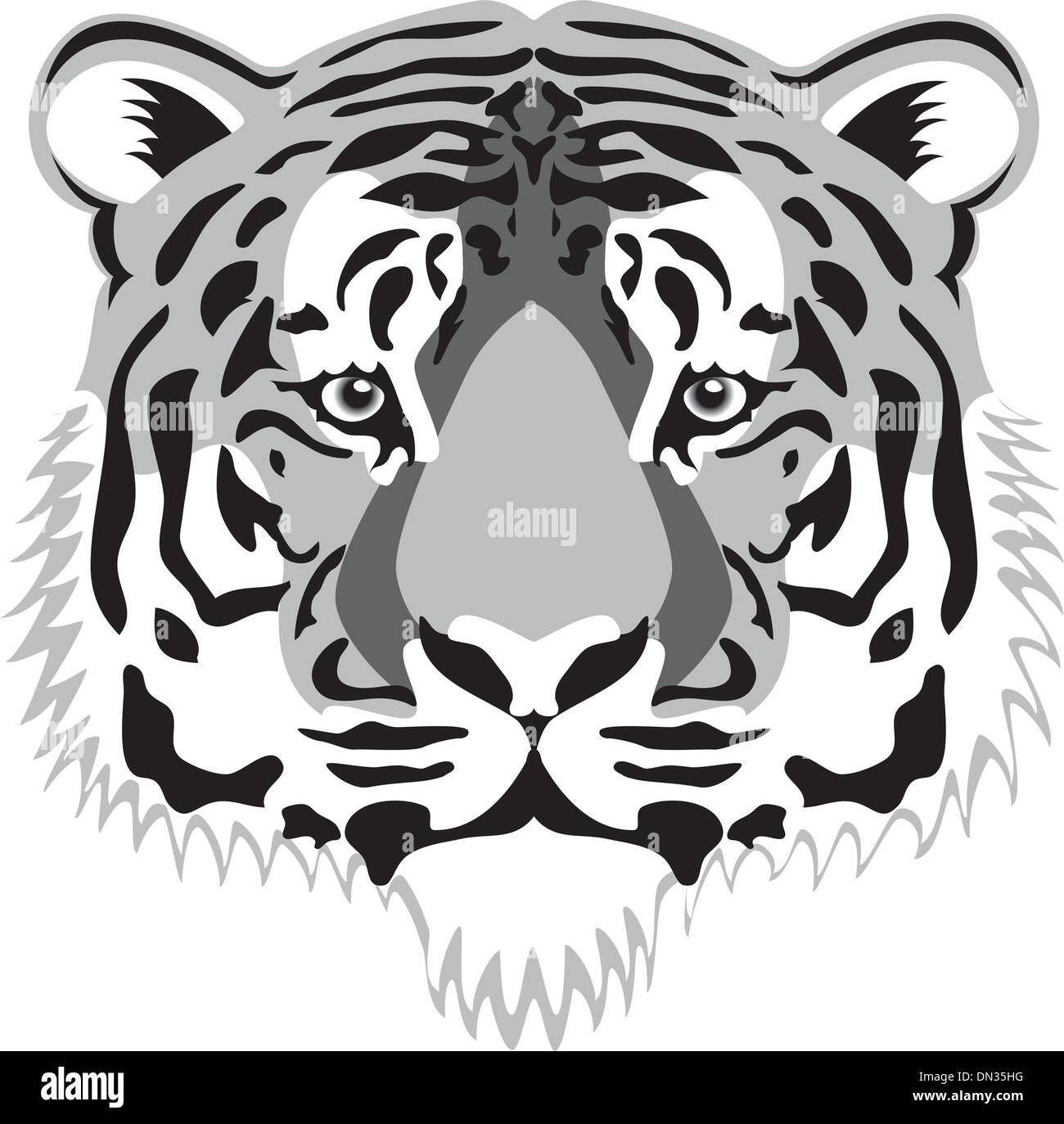 Tiger head Stock Vector Images - Alamy