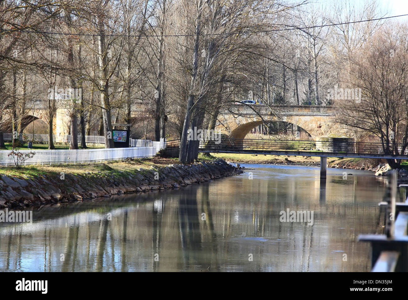 river channel width between trees and vegetation Stock Photo - Alamy