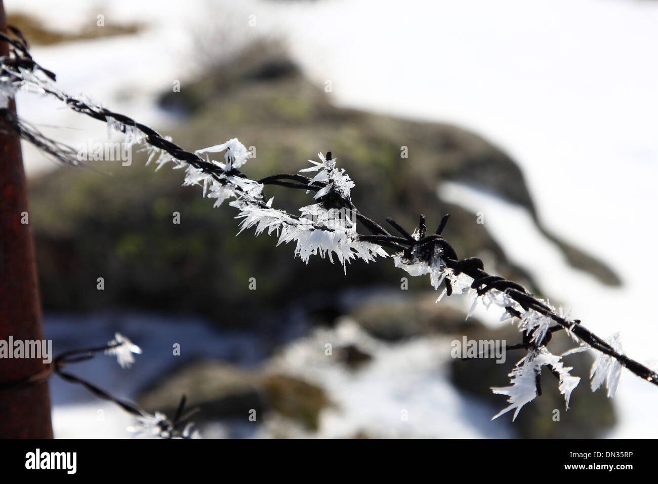 Park full of wires hi-res stock photography and images - Alamy
