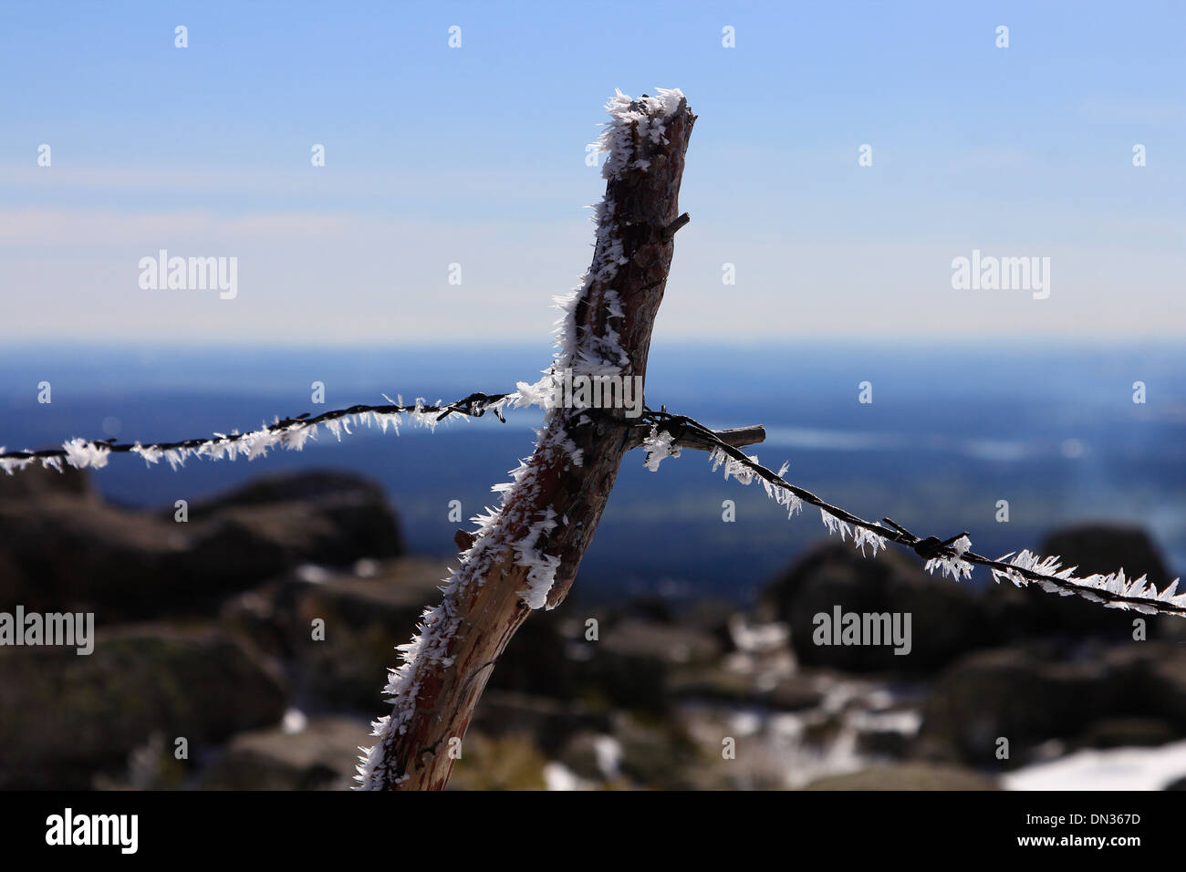 fence of thorns full of ice on wires Stock Photo - Alamy