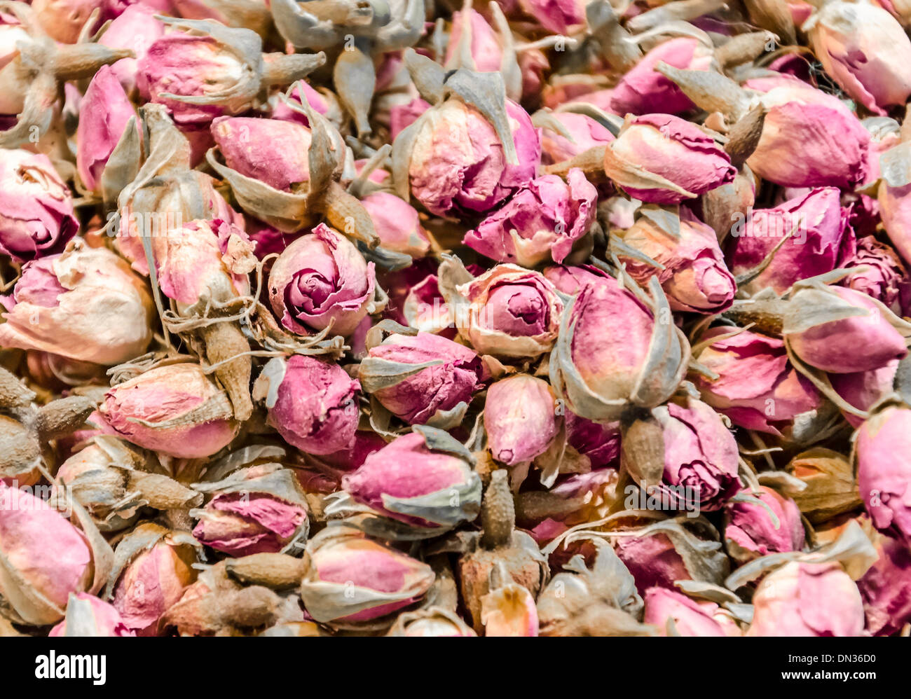 Dried pink roses tea Stock Photo - Alamy