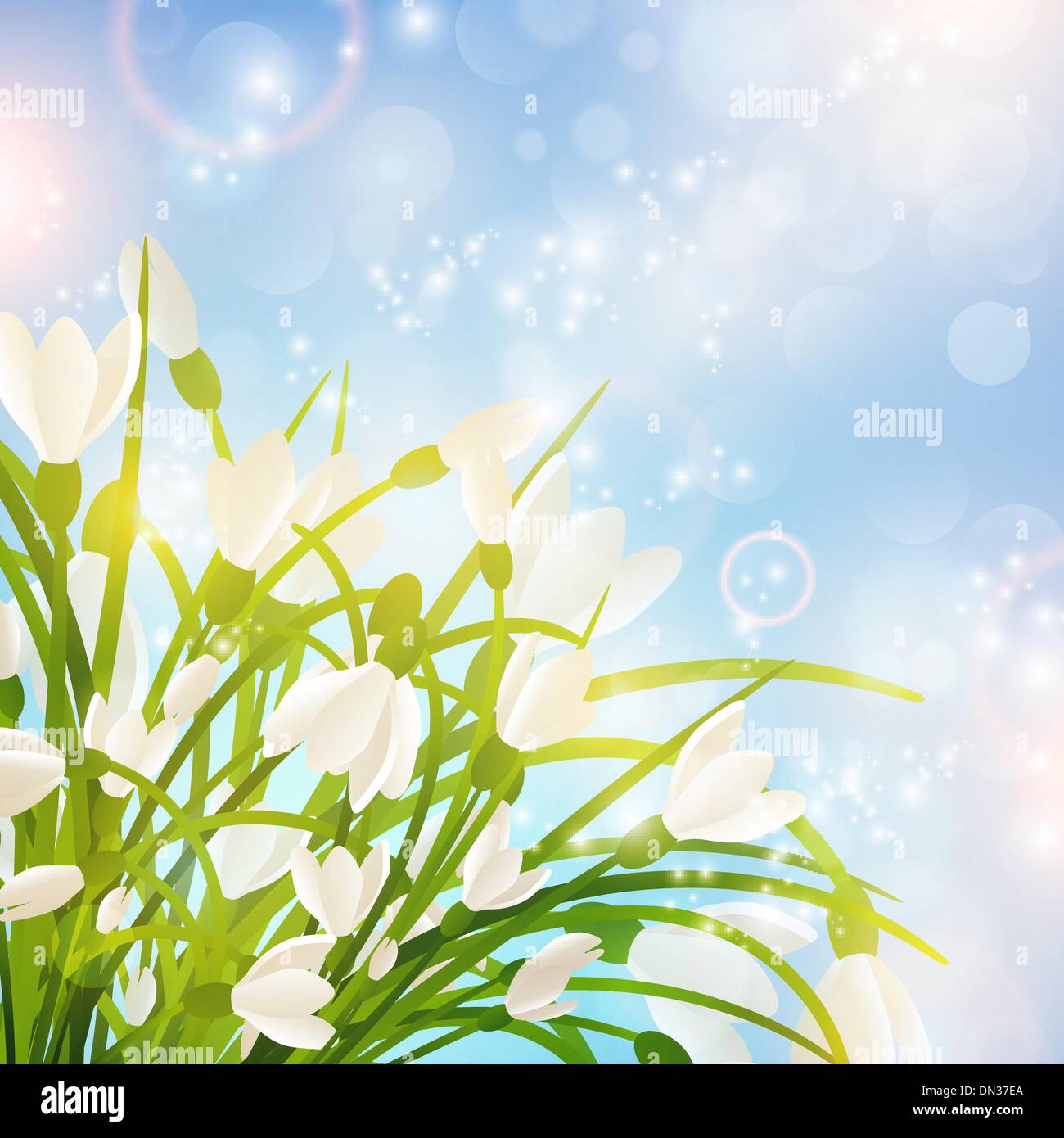 Spring flowers botany Stock Vector Images - Alamy