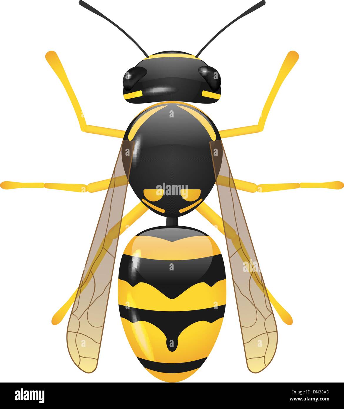Shiny insects Stock Vector Images - Alamy